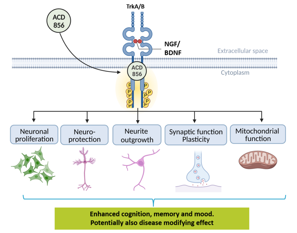 NeuroRestore – AlzeCure Pharma